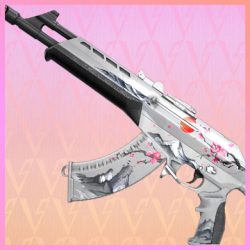 Sakura Vandal Skin - ValorantStrike