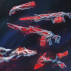 Valorant collections | HD images, prices and how to unlock