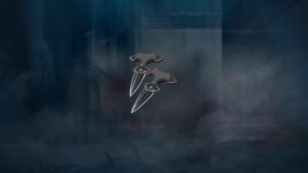 VALORANT ROGUE BUNDLE - ValorantStrike