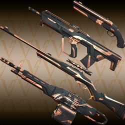 Valorant collections | HD images, prices and how to unlock