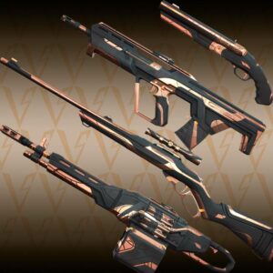 Valorant collections | HD images, prices and how to unlock