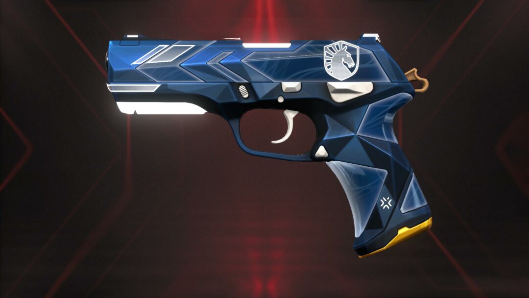 VCT Team Capsule Skins 2024 - ValorantStrike